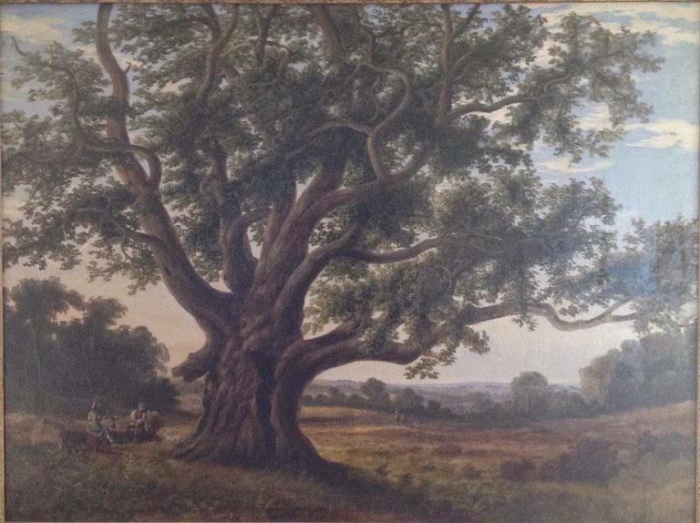 Cowthorpe Oak – Wetherby Civic Society